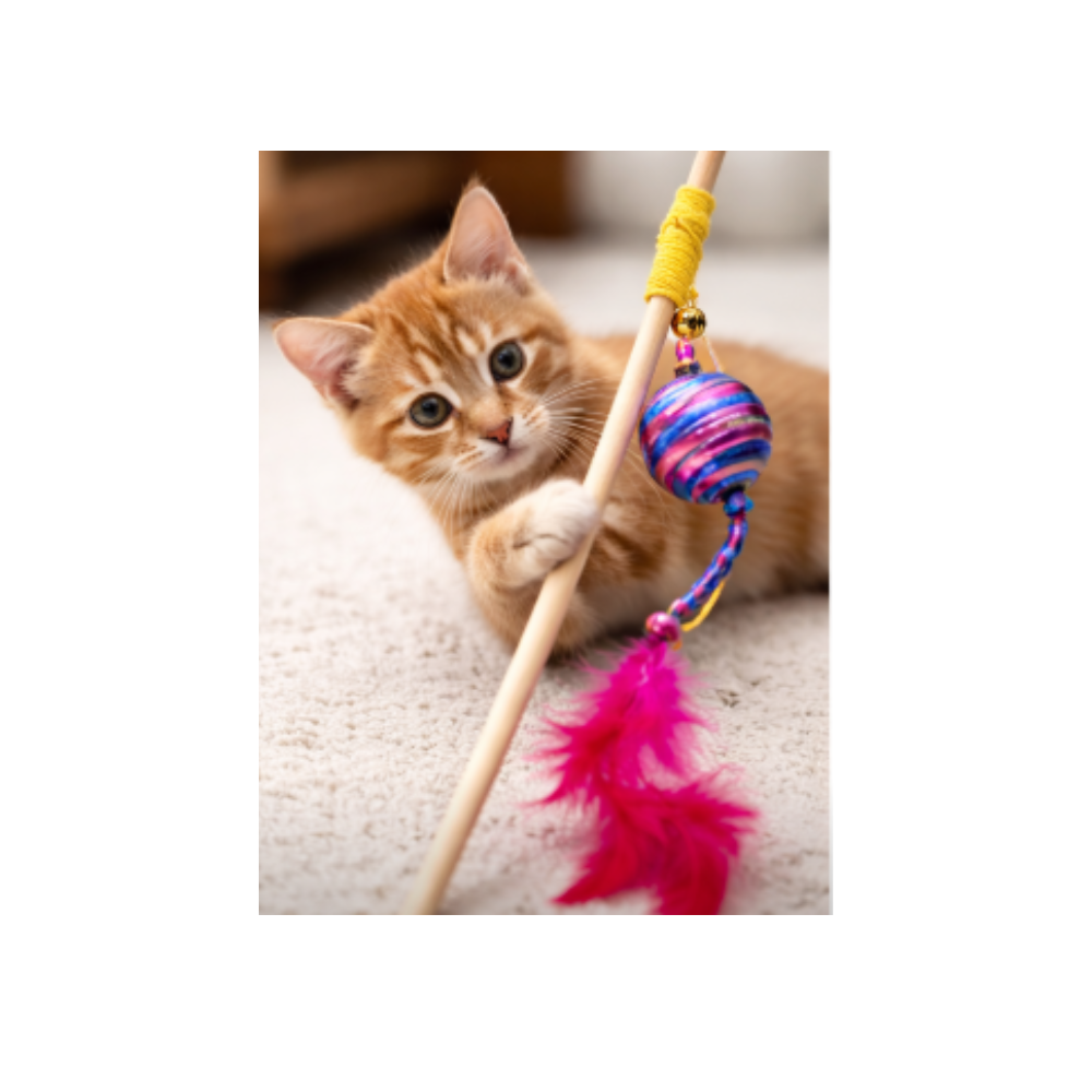 Juguete Interactivo para gato Caña de Pescar MODELOS A ELEGIR | Club ...